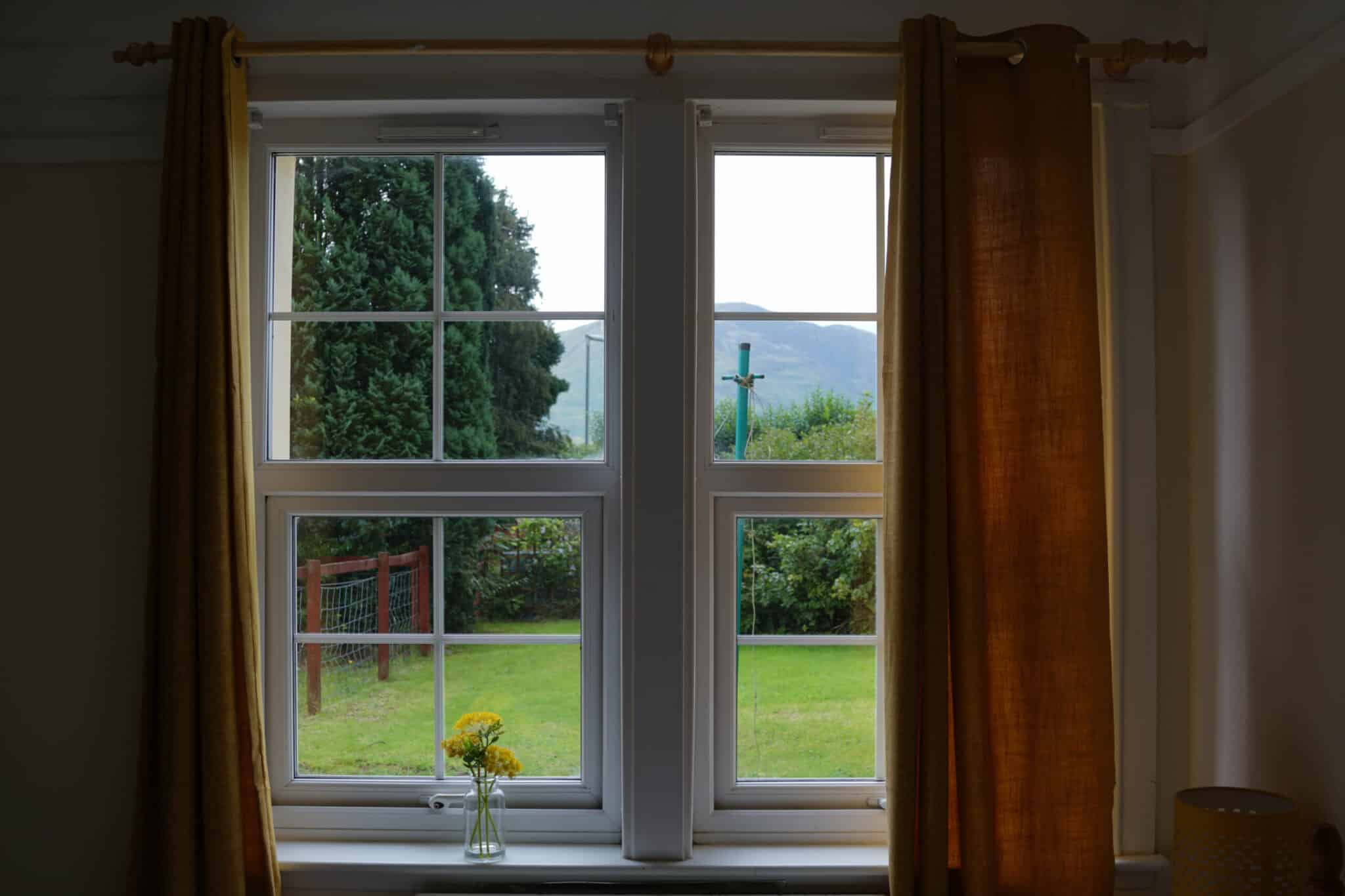 Window of back yard - Energy Window Solutions Dallas & Fort Worth Area