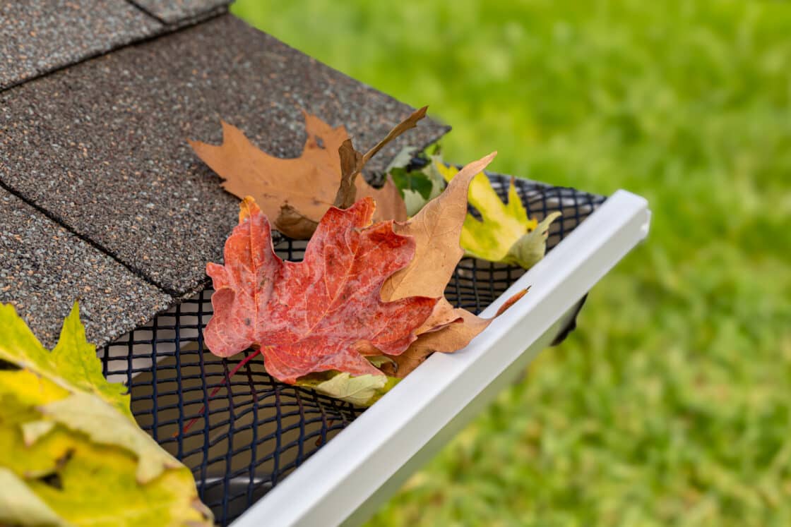 Benefits of Installing Gutter Guards - Energy Window Solutions Dallas ...